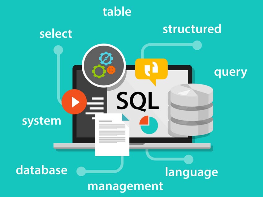 A Beginner s Guide To SQL Bizglide in